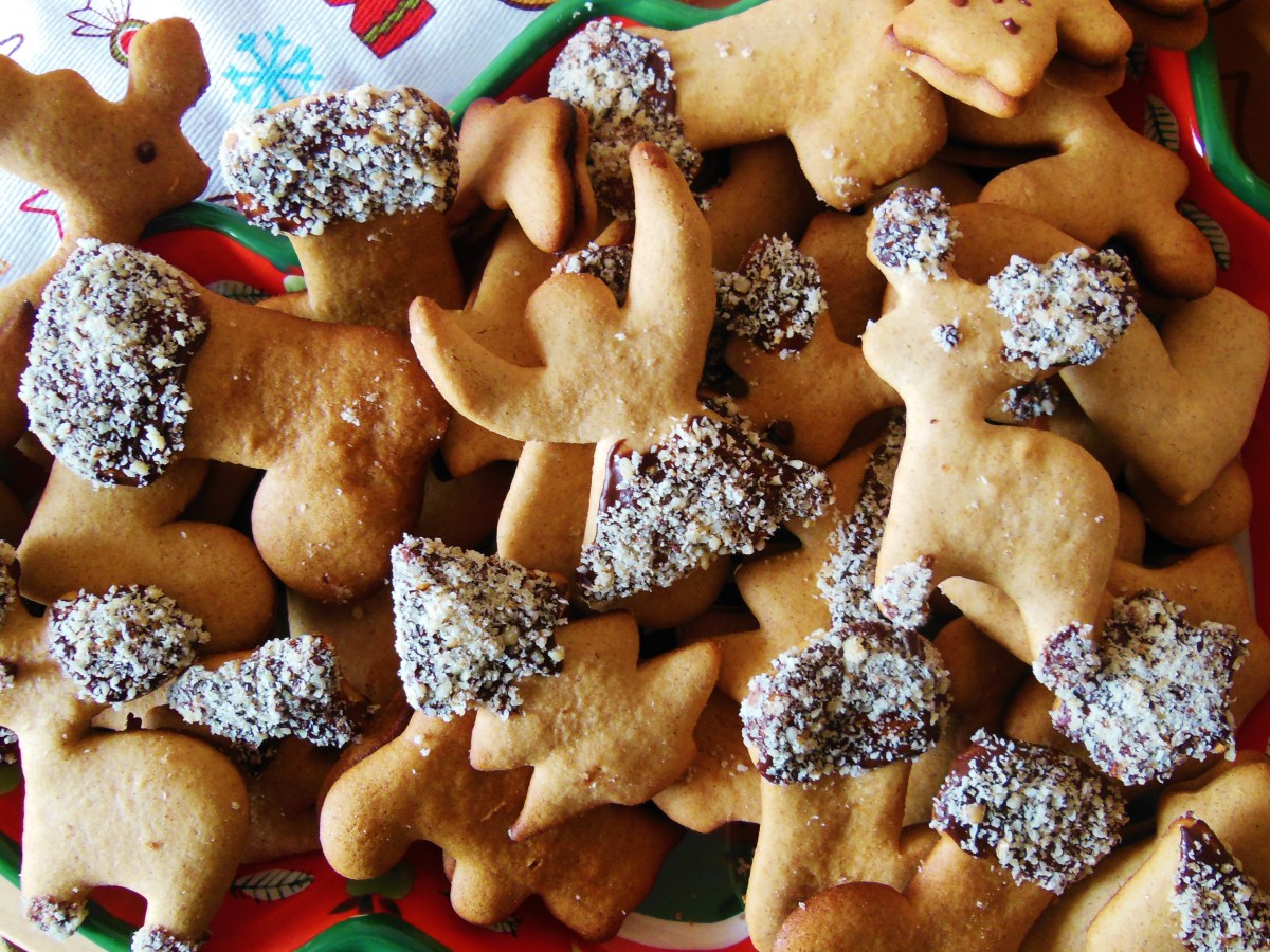 Traditional Honey Cinnamon Christmas Cookies – Medenki – Sun Soul Wonders